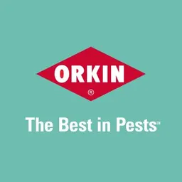 Orkin Logo & Brand Assets (SVG, PNG and vector) - Brandfetch