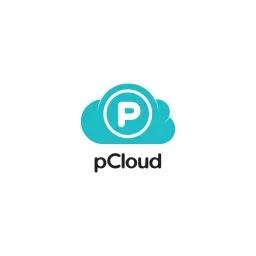 pCloud Logo & Brand Assets (SVG, PNG and vector) - Brandfetch