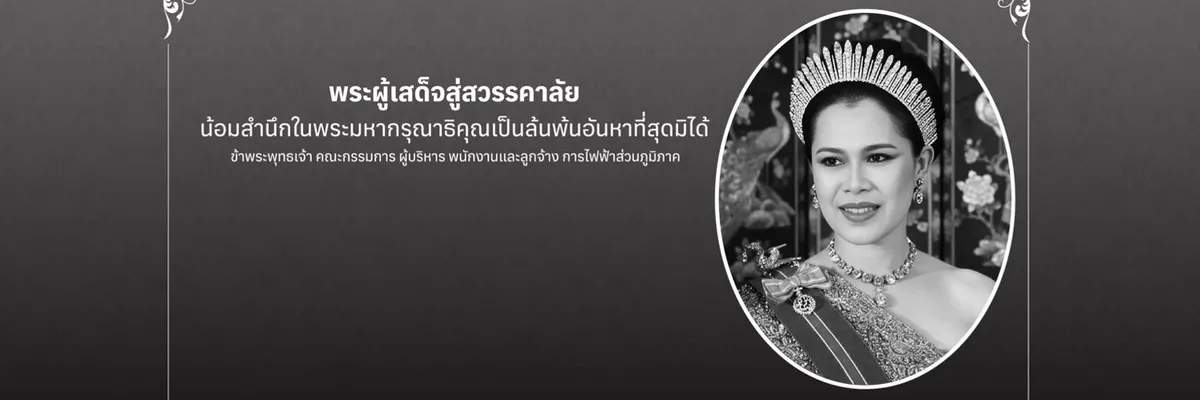 PEA Logo & Brand Assets (SVG, PNG and vector) - Brandfetch