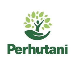 Perum Perhutani Logo & Brand Assets (SVG, PNG and vector) - Brandfetch