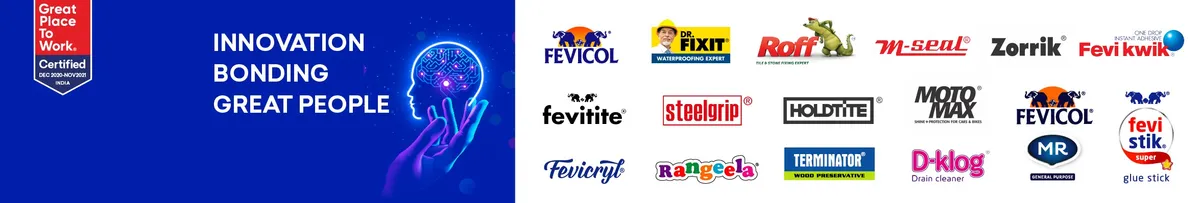 Pidilite Industries Limited Logo & Brand Assets (SVG, PNG and vector ...