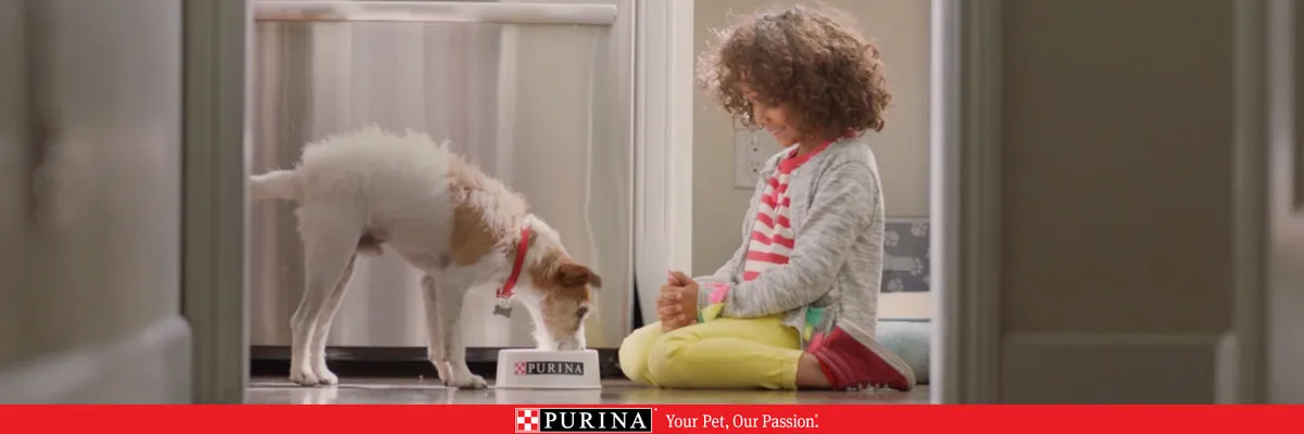 Nestle Purina Petcare Logo & Brand Assets (SVG, PNG and vector ...