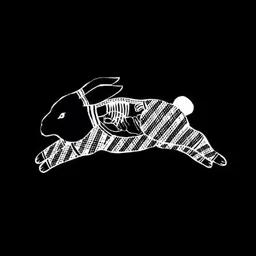 South Sydney Rabbitohs Logo & Brand Assets (SVG, PNG and vector ...