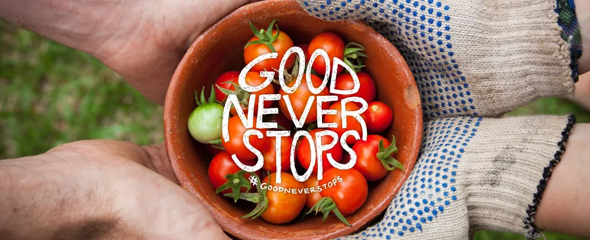 Raley's Logo & Brand Assets (SVG, PNG and vector) - Brandfetch