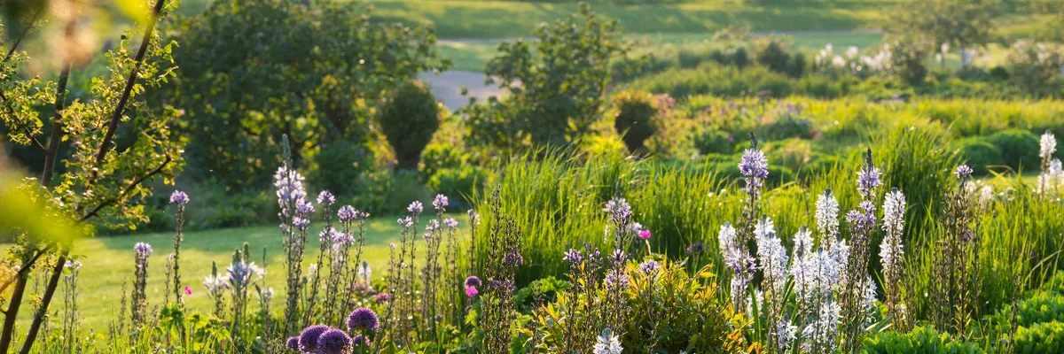 RHS Logo & Brand Assets (SVG, PNG and vector) - Brandfetch