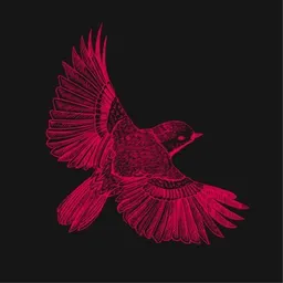 Robin Capital Logo & Brand Assets (SVG, PNG and vector) - Brandfetch