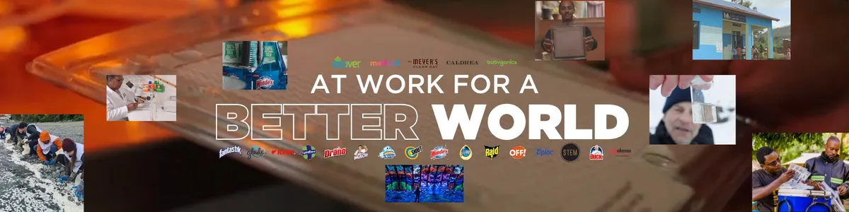 SC Johnson Logo & Brand Assets (SVG, PNG and vector) - Brandfetch