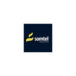 Somtel Logo & Brand Assets (SVG, PNG and vector) - Brandfetch