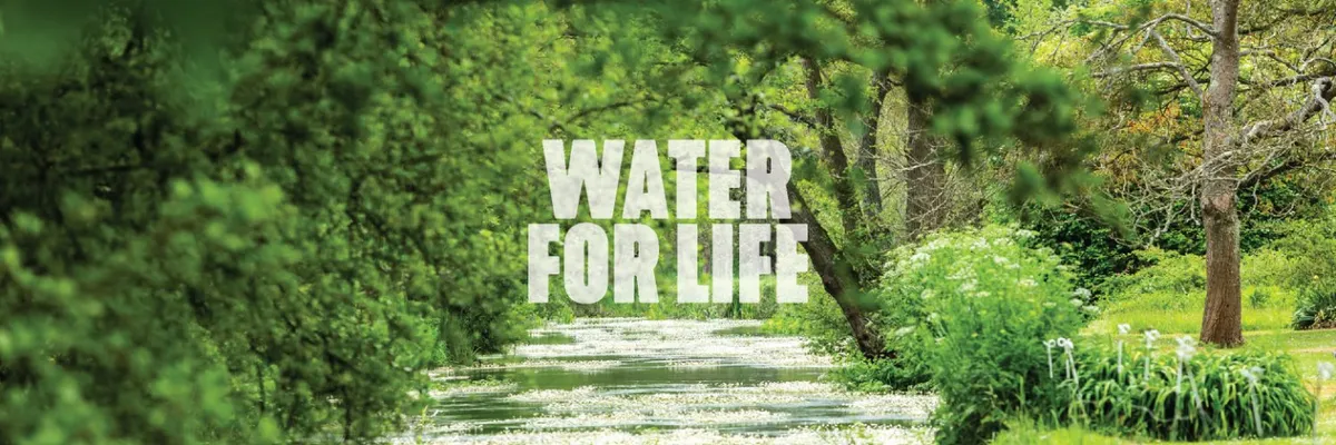 Southern Water Logo & Brand Assets (SVG, PNG and vector) - Brandfetch