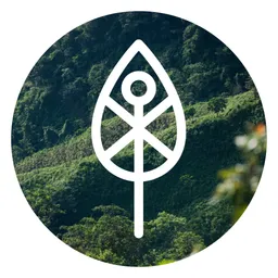 ISCC Logo & Brand Assets (SVG, PNG and vector) - Brandfetch