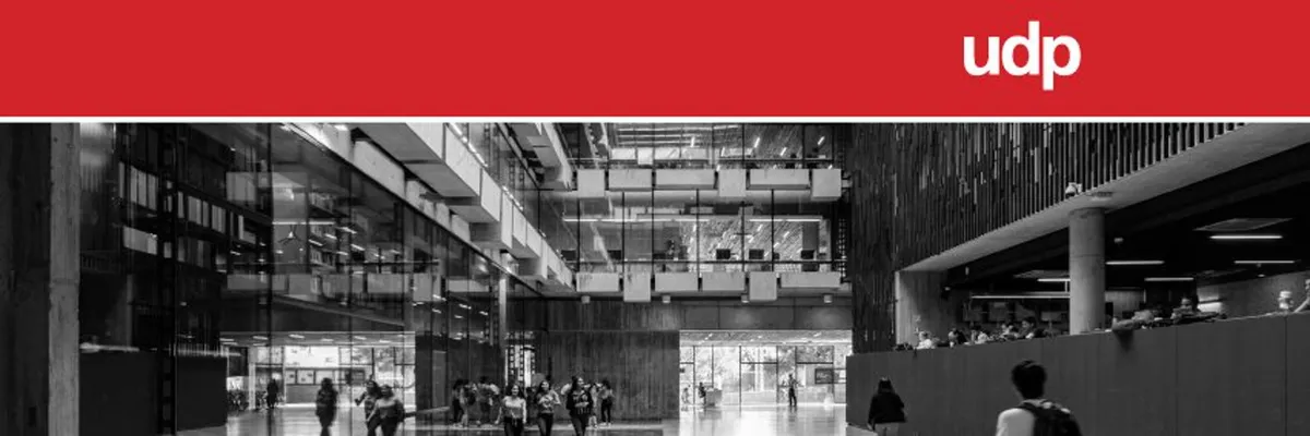 UDP Logo & Brand Assets (SVG, PNG and vector) - Brandfetch