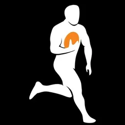 GAA Logo & Brand Assets (SVG, PNG and vector) - Brandfetch