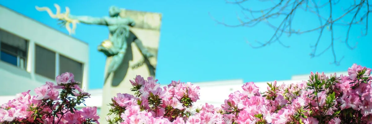 UMinho Logo & Brand Assets (SVG, PNG and vector) - Brandfetch