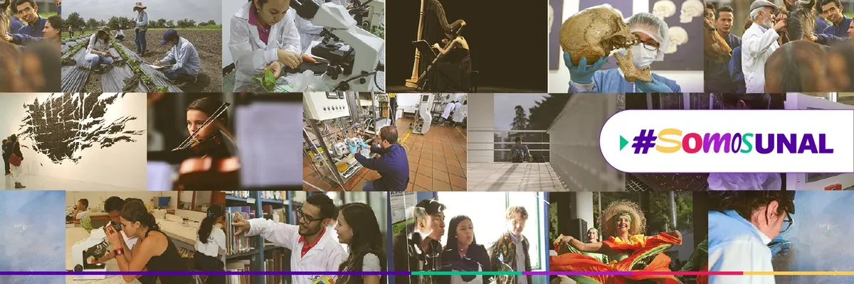 Universidad Nacional de Colombia Logo & Brand Assets (SVG, PNG and ...