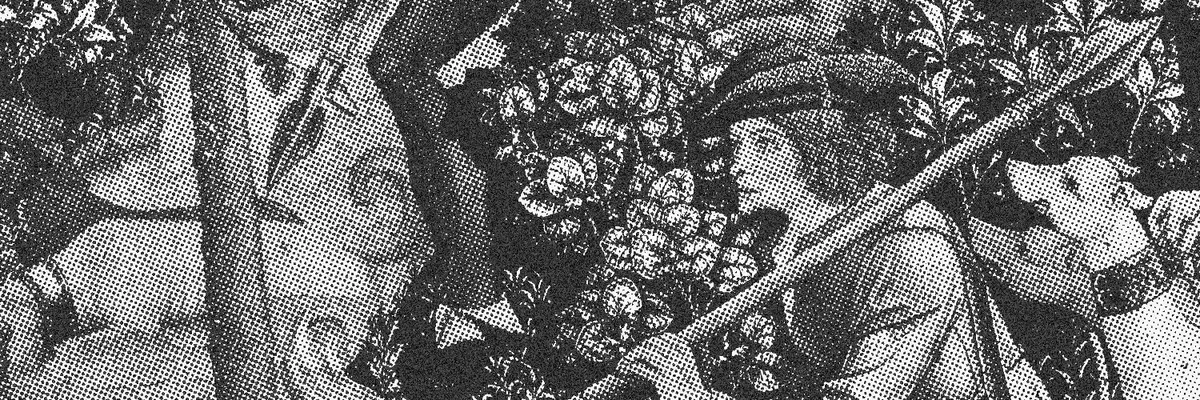 Uniswap Logo & Brand Assets (SVG, PNG and vector) - Brandfetch