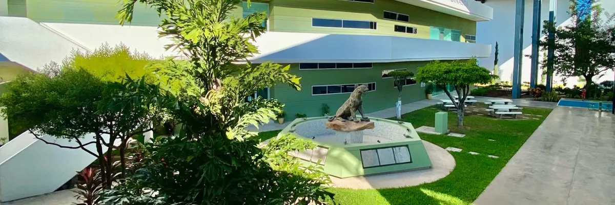 UPES Logo & Brand Assets (SVG, PNG and vector) - Brandfetch