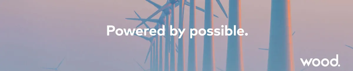 woodplc Logo & Brand Assets (SVG, PNG and vector) - Brandfetch