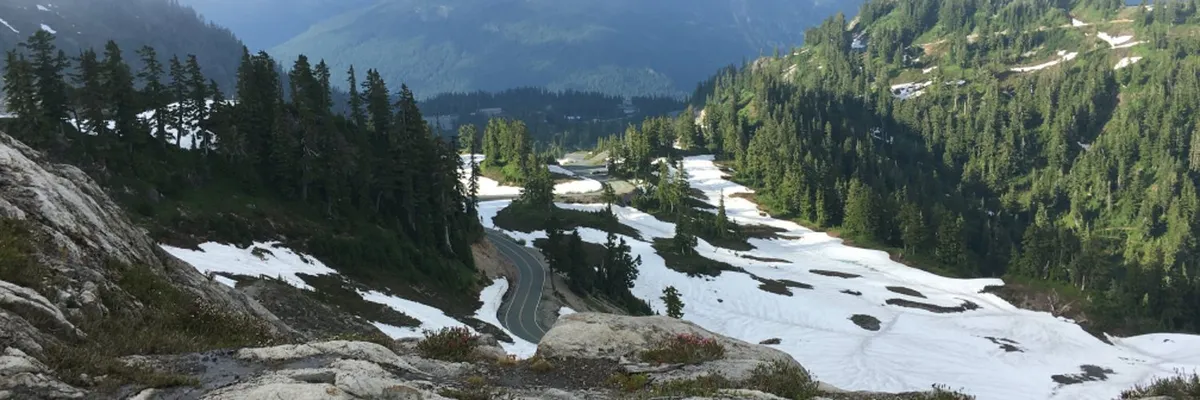 Washington State DOT Logo & Brand Assets (SVG, PNG and vector) - Brandfetch